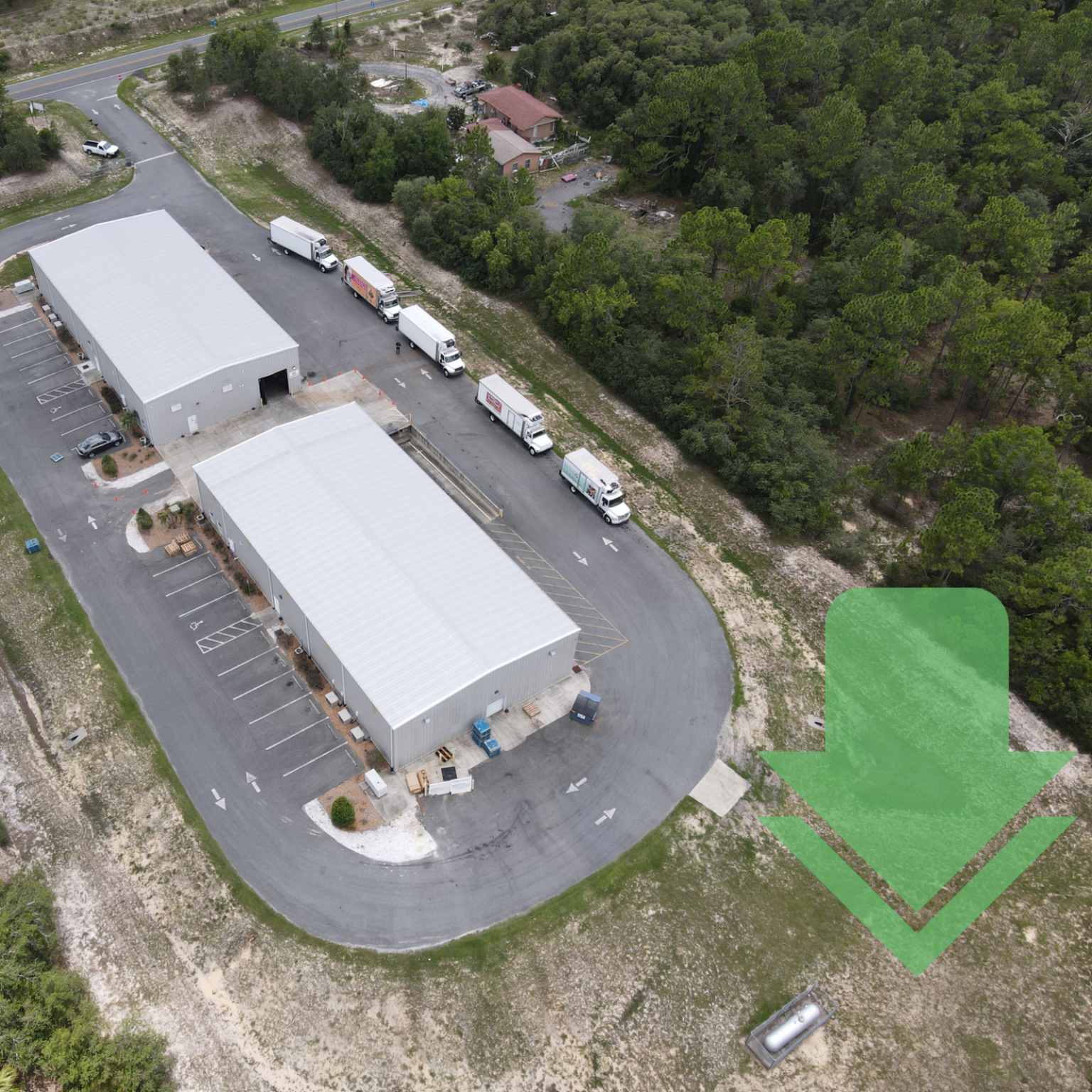 Trees of Life - Ending Hunger, Nourishing Hope - Community Food Bank ...